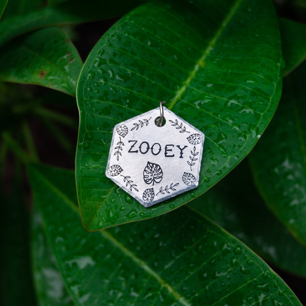 Monstera- Simple Style - Copper Paws